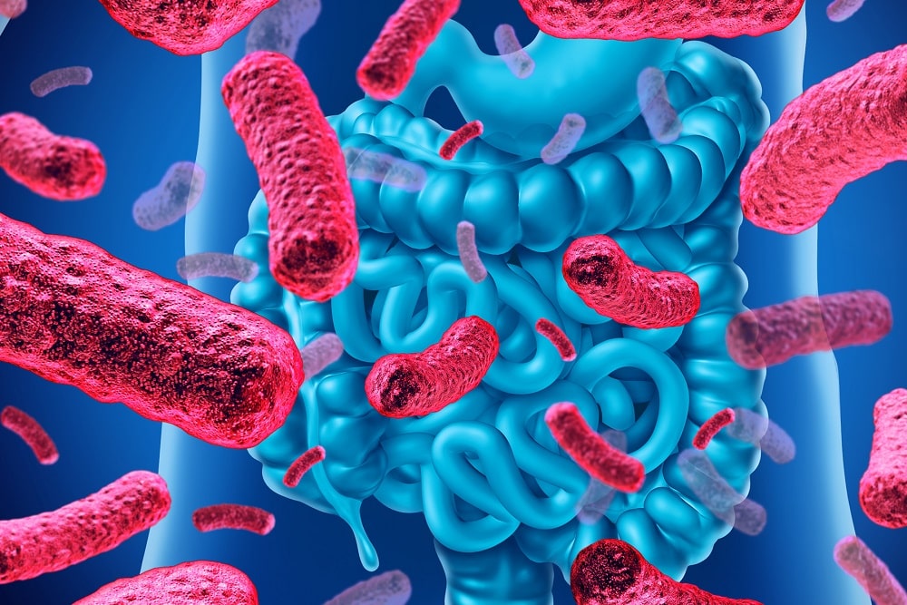 Next Generation Probiotics and the Promise of Targeted Microbiome Support