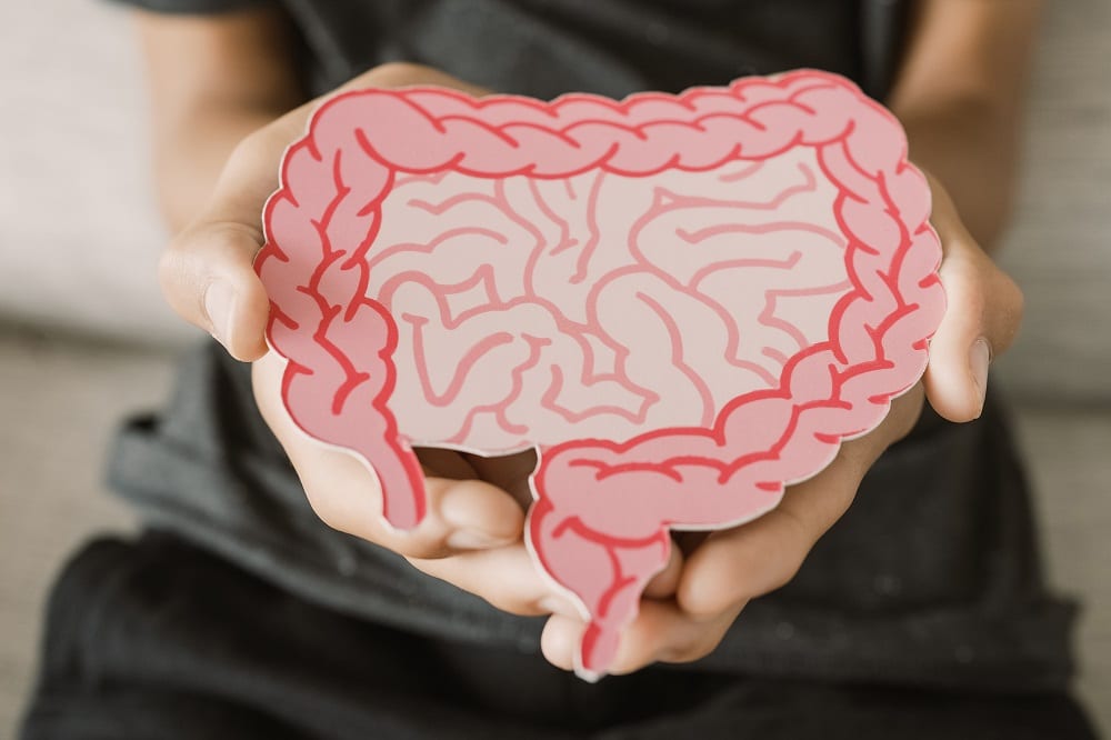 Leaky Gut Syndrome: Symptoms, Diet, & Treatment