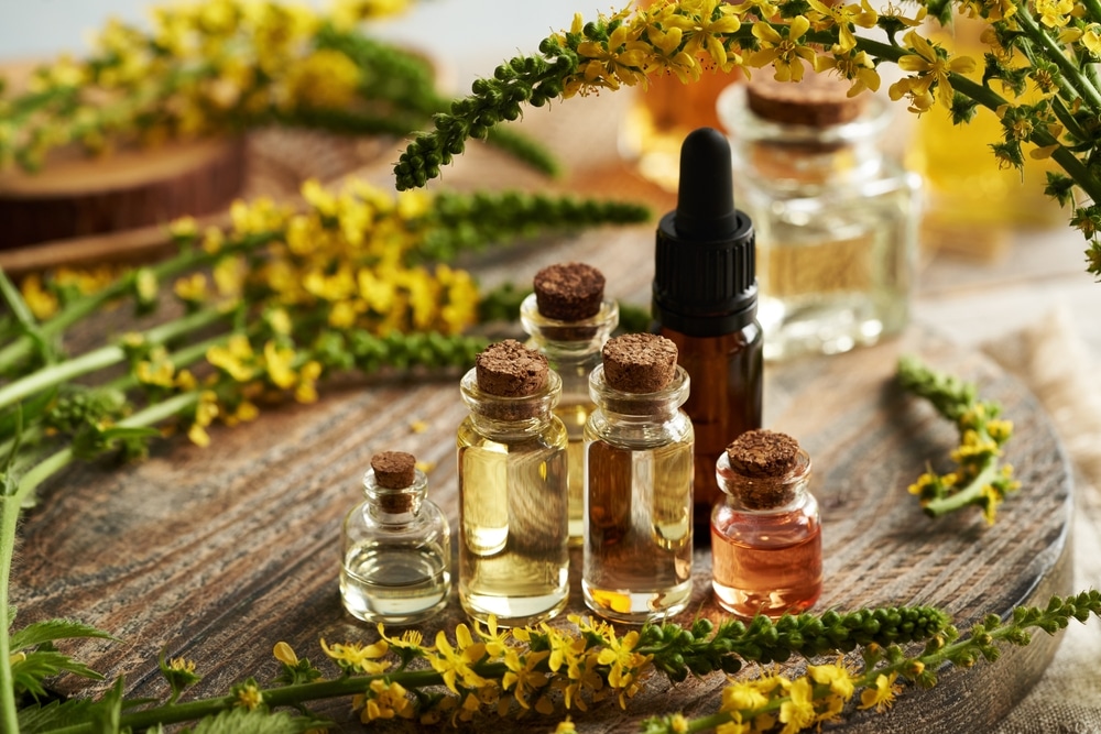 Pure And Clean Essential Oils | How They Are Tested
